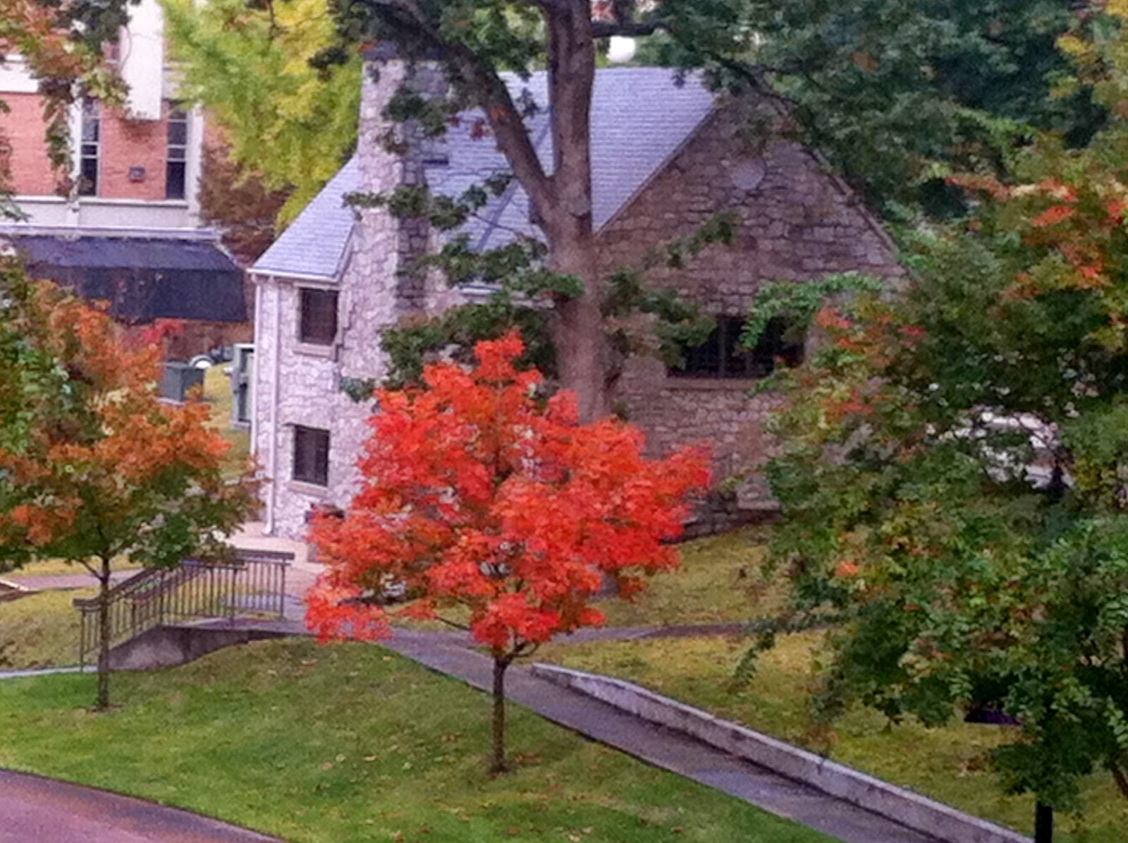 University of North Alabama fall color