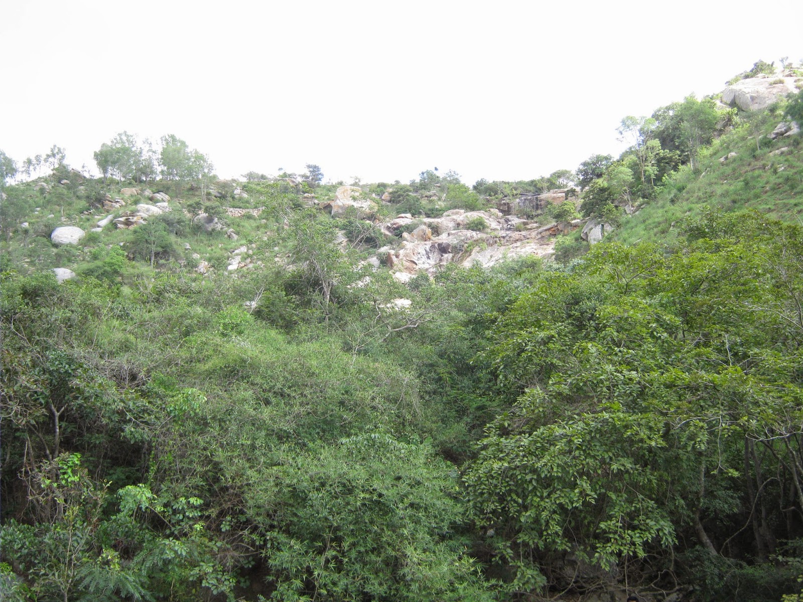 MuthyalaMaduvu , Pearl Valley , Anekal , near Bengaluru