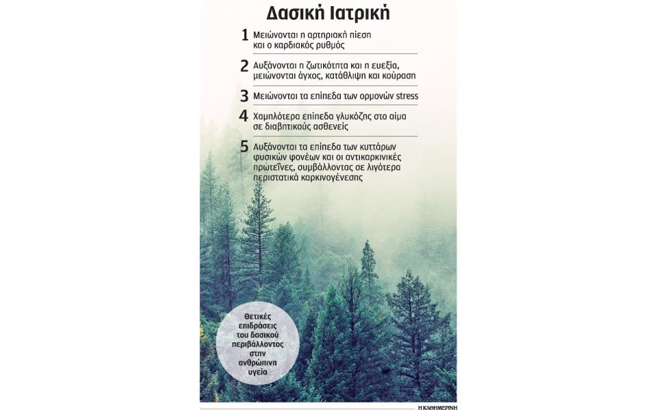 ΜΙΑ ΒΟΛΤΑ ΣΤΟ ΔΑΣΟΣ, ΩΦΕΛΙΜΗ ΓΙΑ ΤΗΝ ΥΓΕΙΑ ΚΑΙ ΤΗΝ ΨΥΧΟΛΟΓΙΑ - kilkis ...