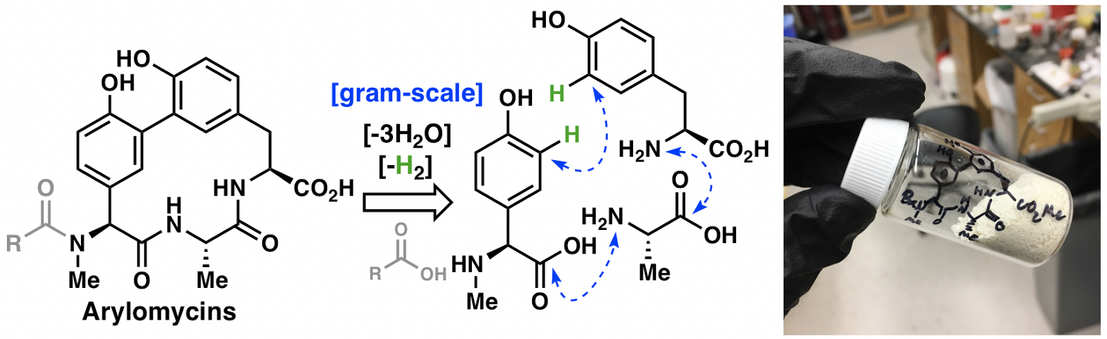 Open Flask: Arylomycins 2.0: Inside the Life of a Joint Graduate Student