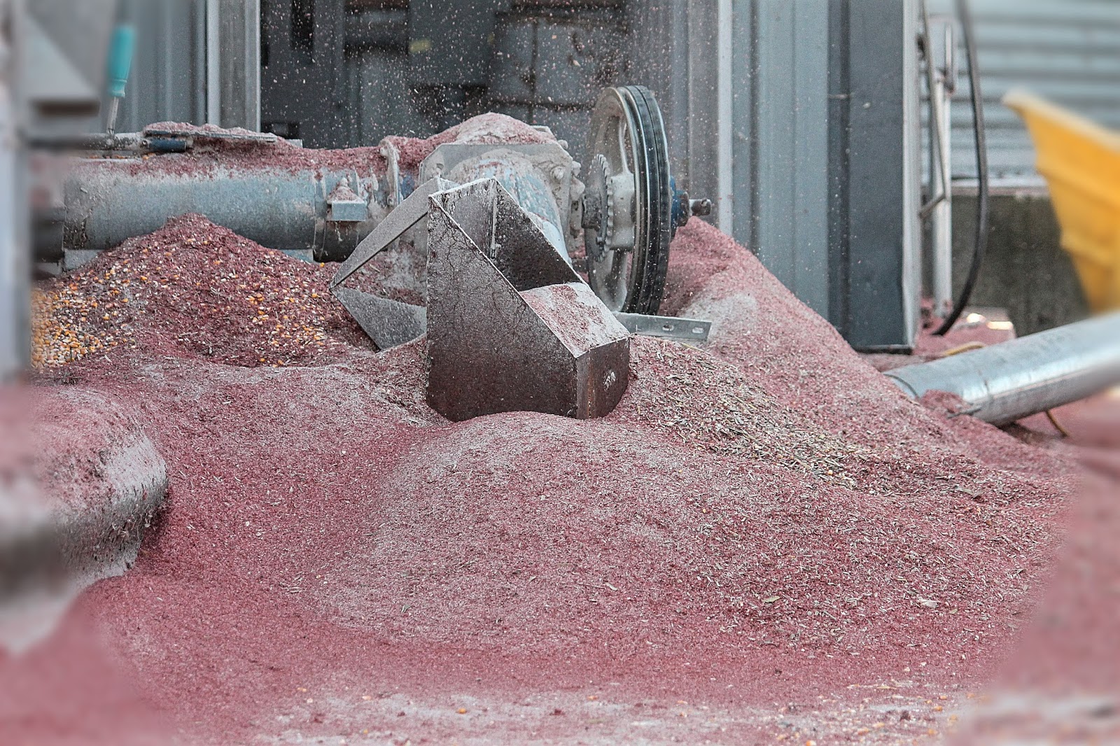 It's A Beautiful Song: Abundance: Getting Rid Of The Chaff