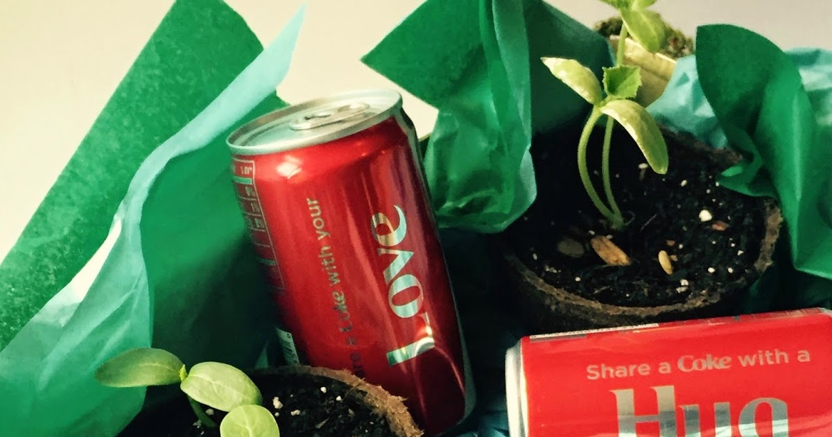 Mini Monets and Mommies: Share a Coke Summer Gift Baskets