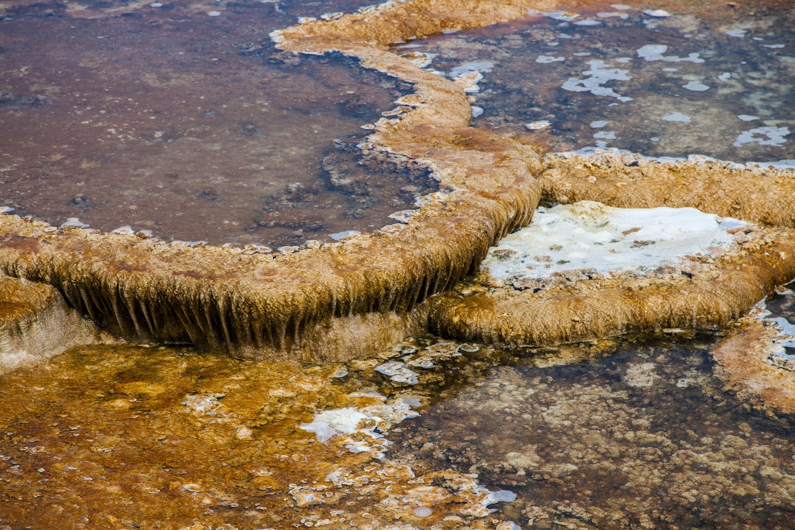 Walking Arizona: Mammoth Hot Springs, Yellowstone National Park
