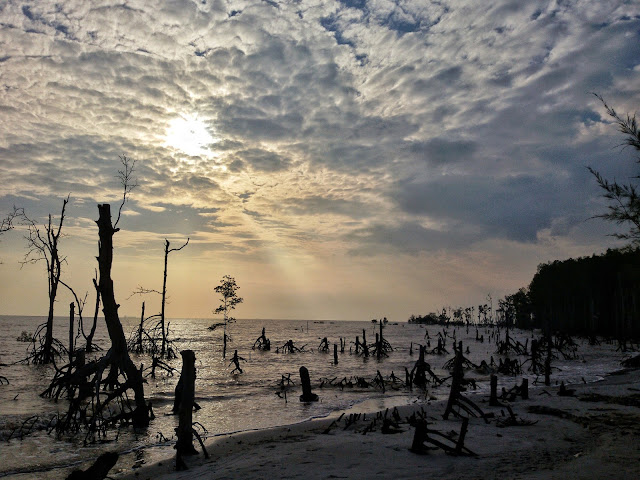 【Outing/Trip】Tanjung Sepat - Cunang Beach (Pantai Cunang)