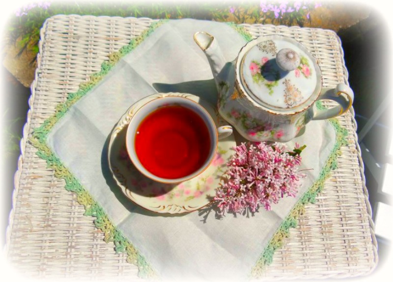 The Nest at Finch Rest: Tea Moment in the Garden's Shade