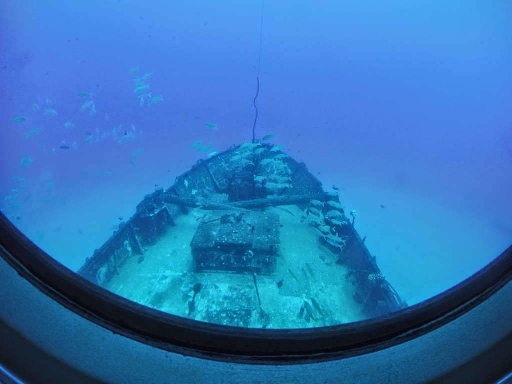 Observations of the Practical Kind: Maui: Atlantis Submarine