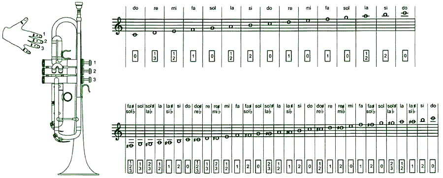 Digitação do Trompete - Escala | Espaço do Trompete - Tudo o que Você ...