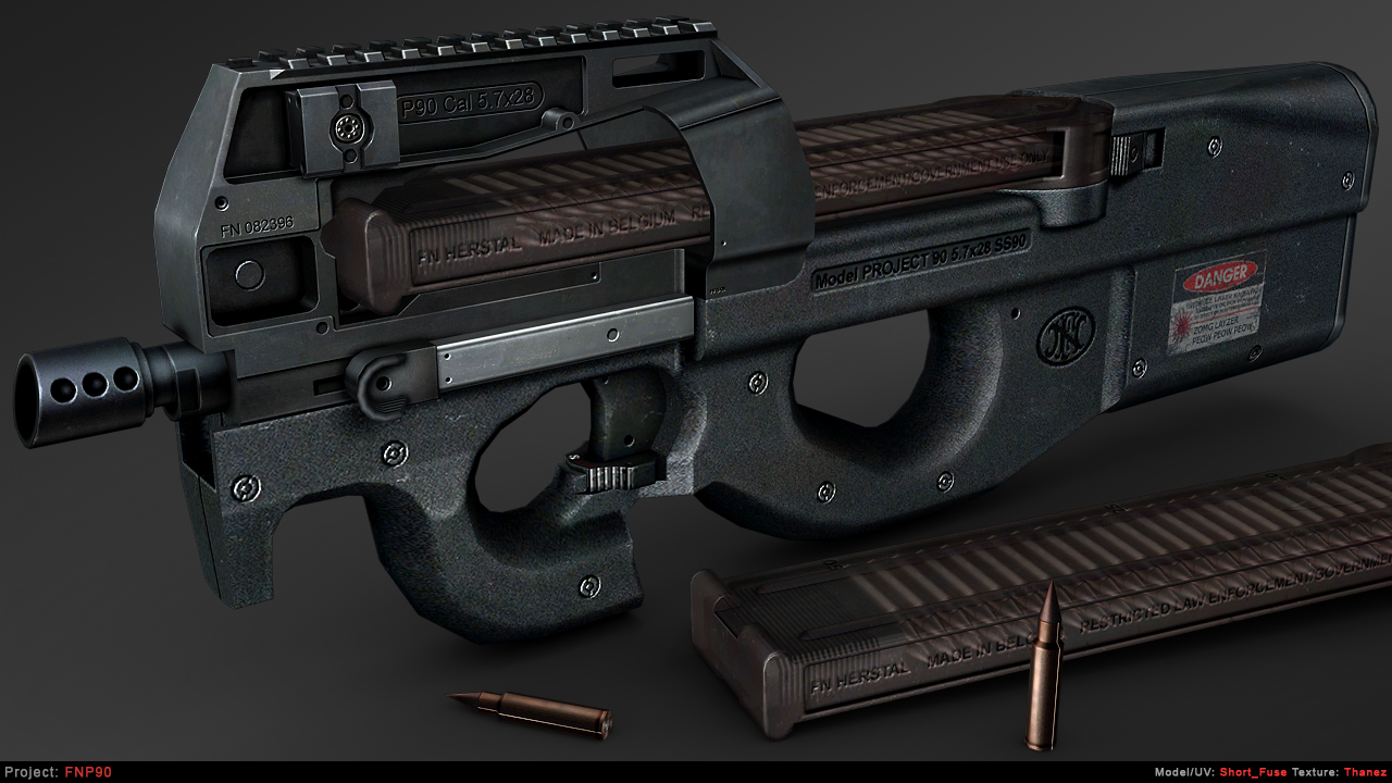 Point Blank: Info Weapon P90