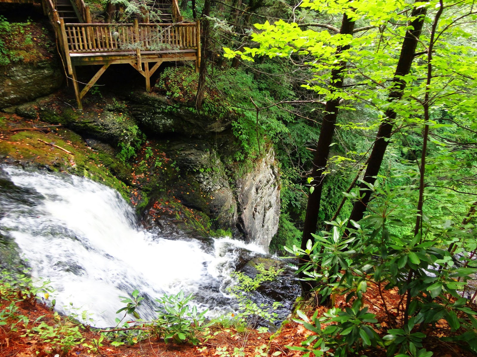 Bushkill Falls Trail Hike- Bushkill, PA