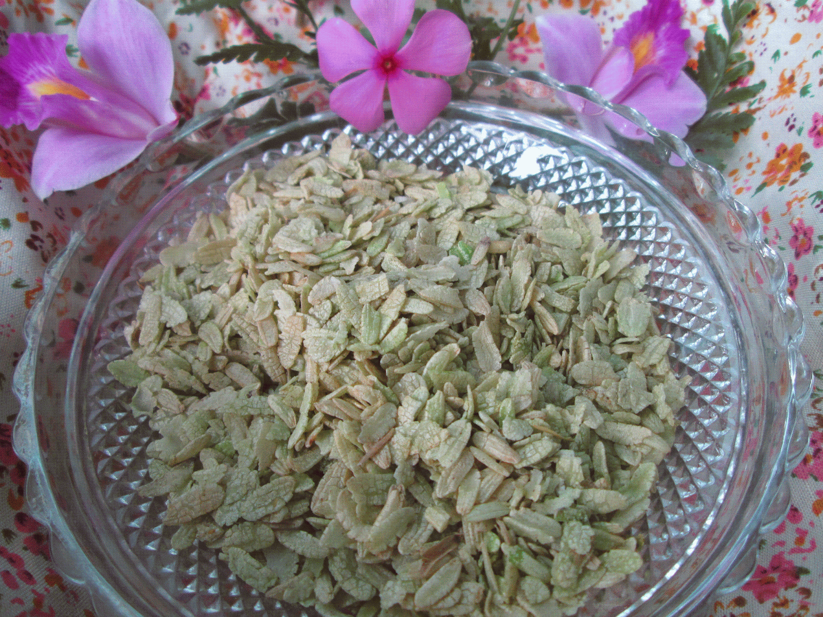 yan's cottage: EMPING PADI & KELAPA