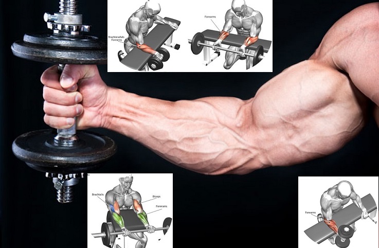 Forearm Flexor Workout