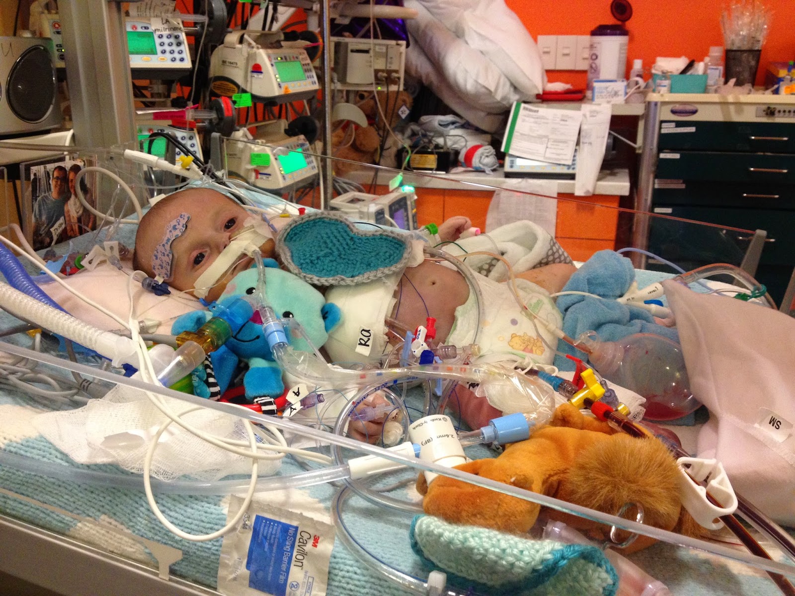 The Parkers: Owen's Story: Part Five