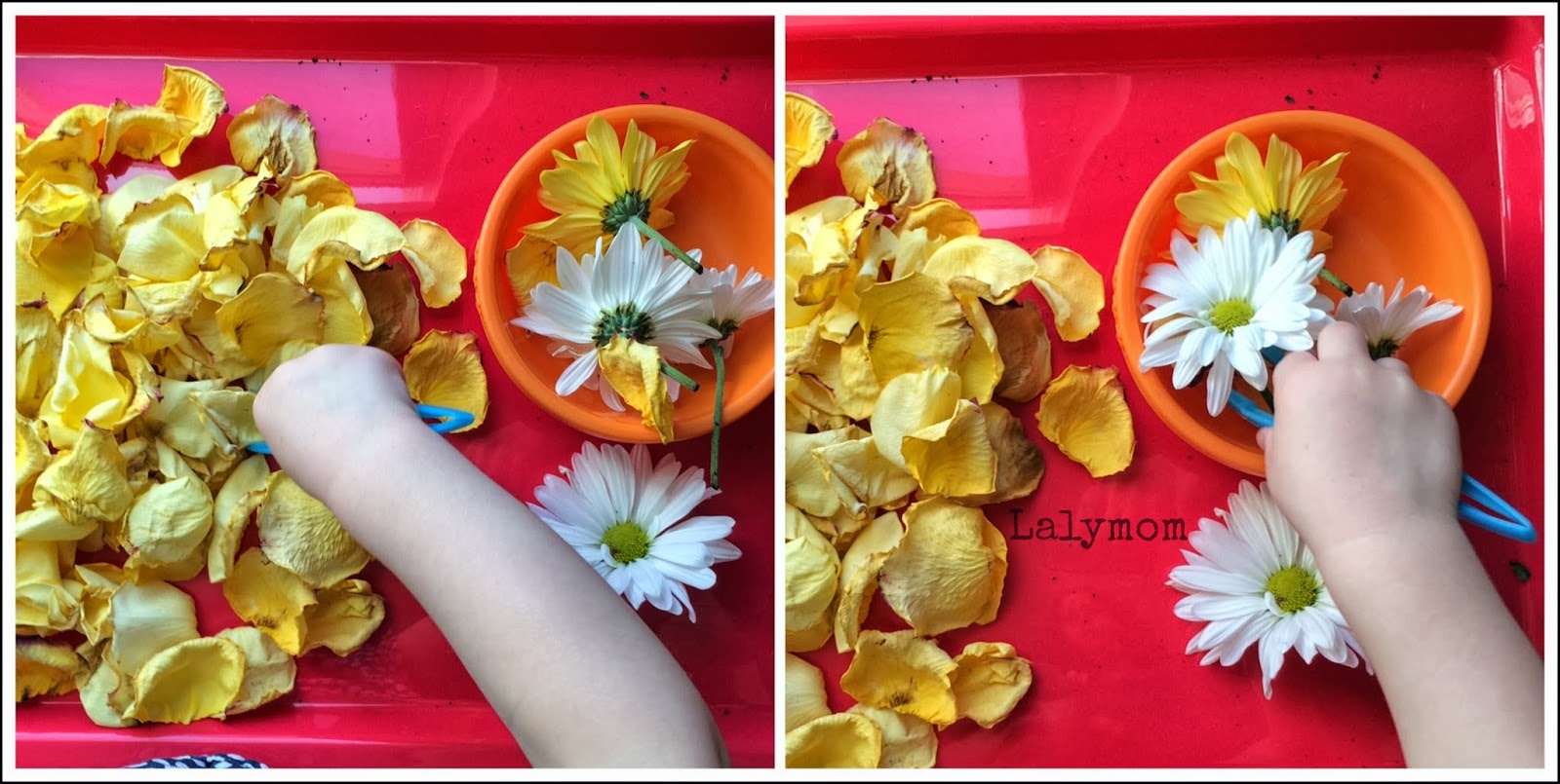 Easy Fine Motor Activities Using Fresh Flowers [Fine Motor Fridays ...