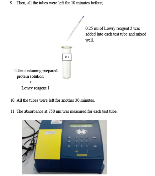 biochemistry: Practical 2 : Protein Experiment