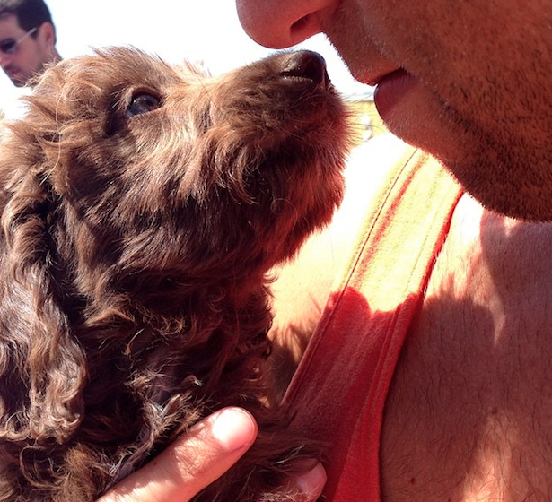 Understanding a Poopy Puppy – anniecdotes