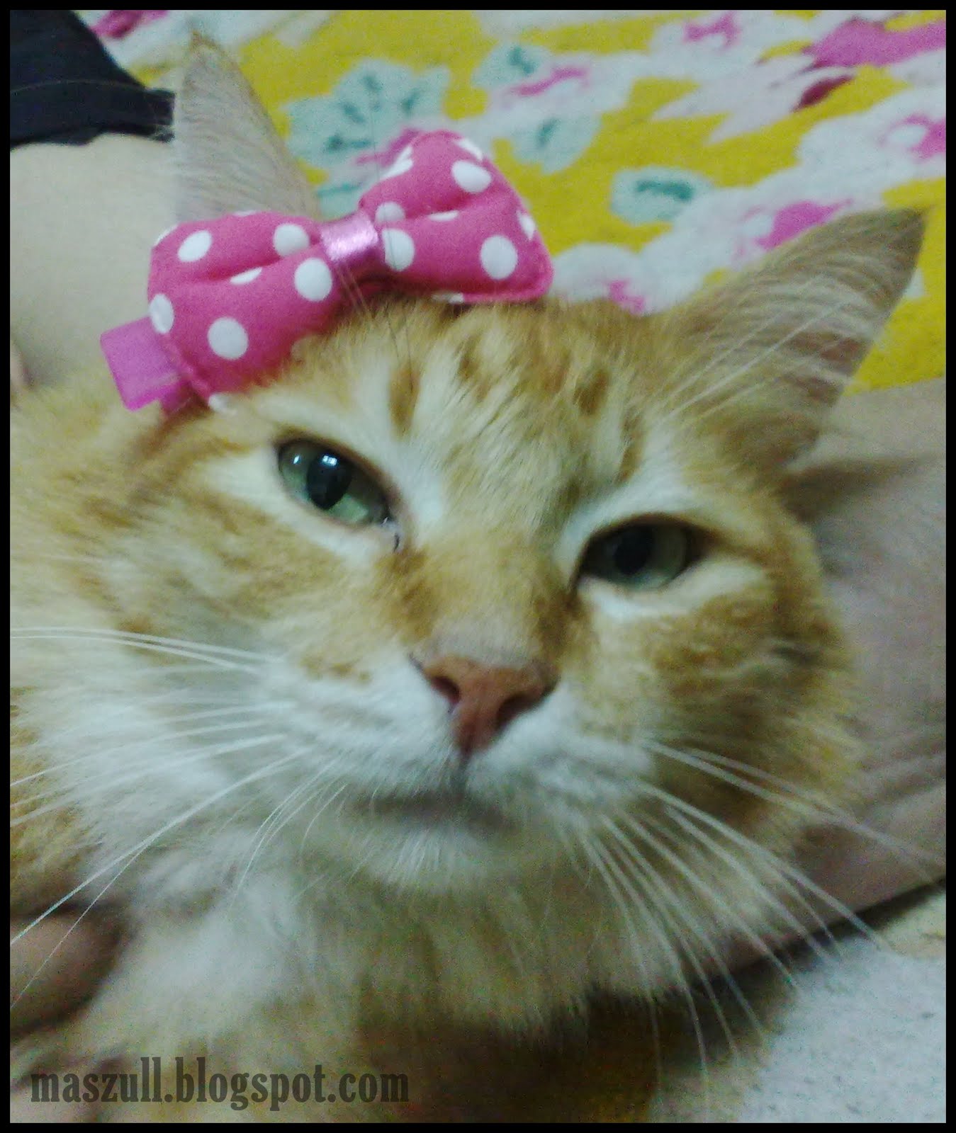 Trend yang cute n cantik....