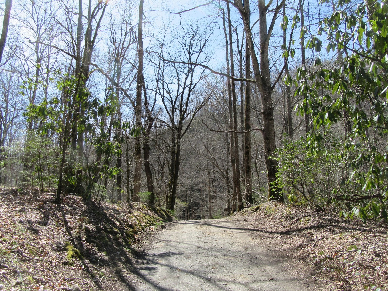 Hikertrash 900: Bradley Fork, Tow String and Smokemont Loop Trails