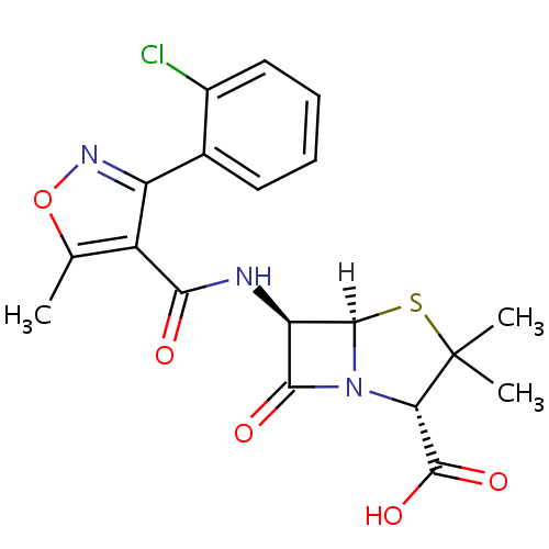 Pharmacology Of Cloxacillin