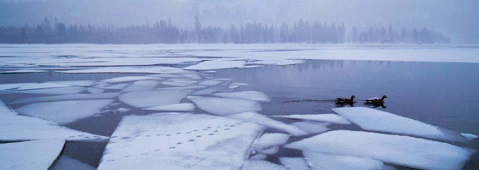 OLTRE IL MURO: ARTE e FOTOGRAFIA: JIM RICHARDSON | PHOTOGRAPHER
