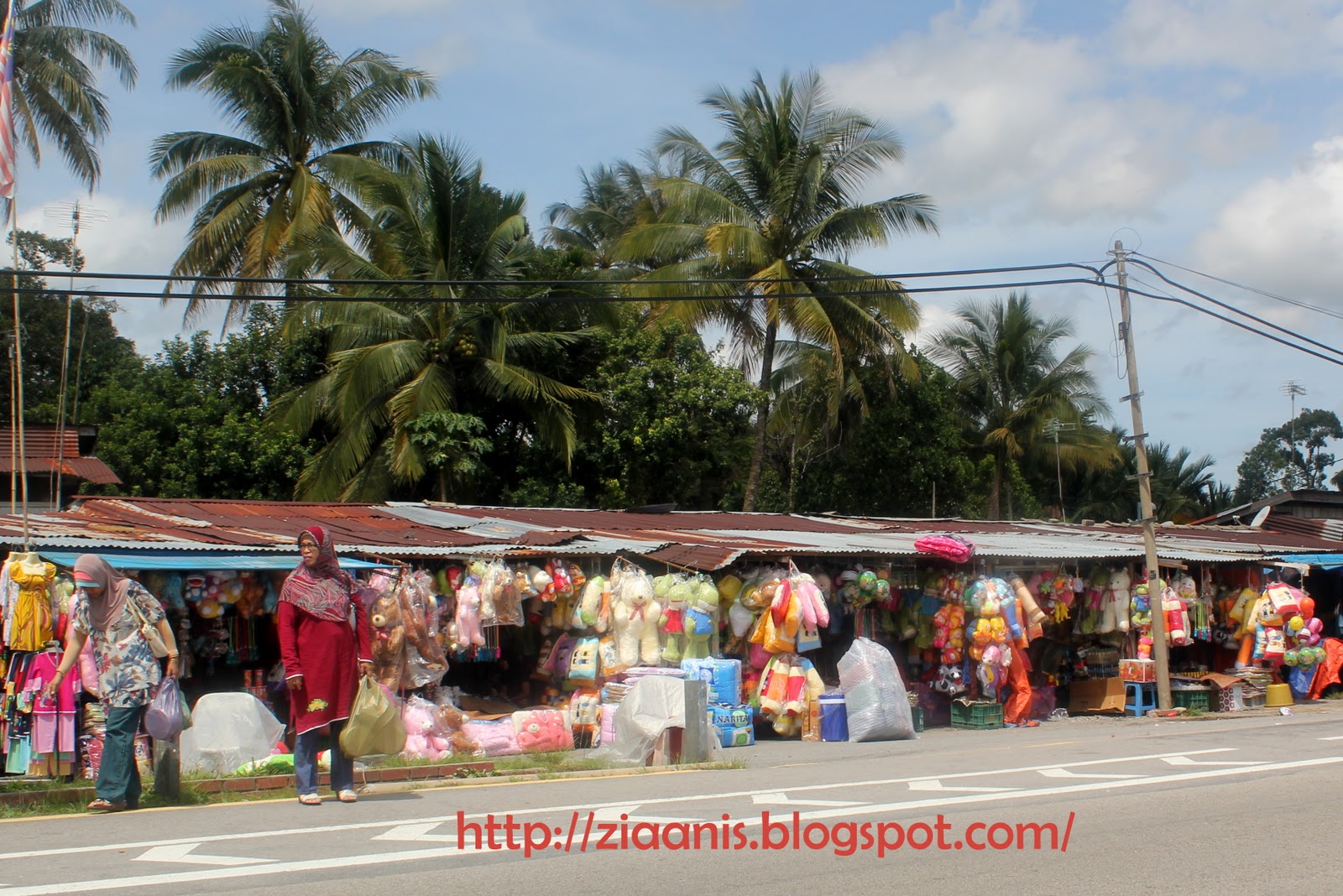 Zia Anis: Bukit Bunga, Tanah Merah, Kelantan