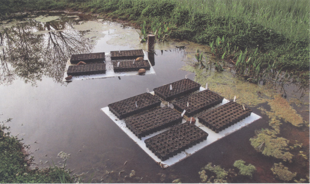 Book review: The Bio-Integrated Farm by Shawn Jadrnicek | Permaculture ...