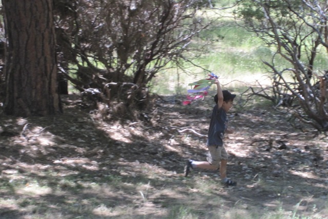 Top 10 Ways to Play With Sticks - GoExploreNature.com