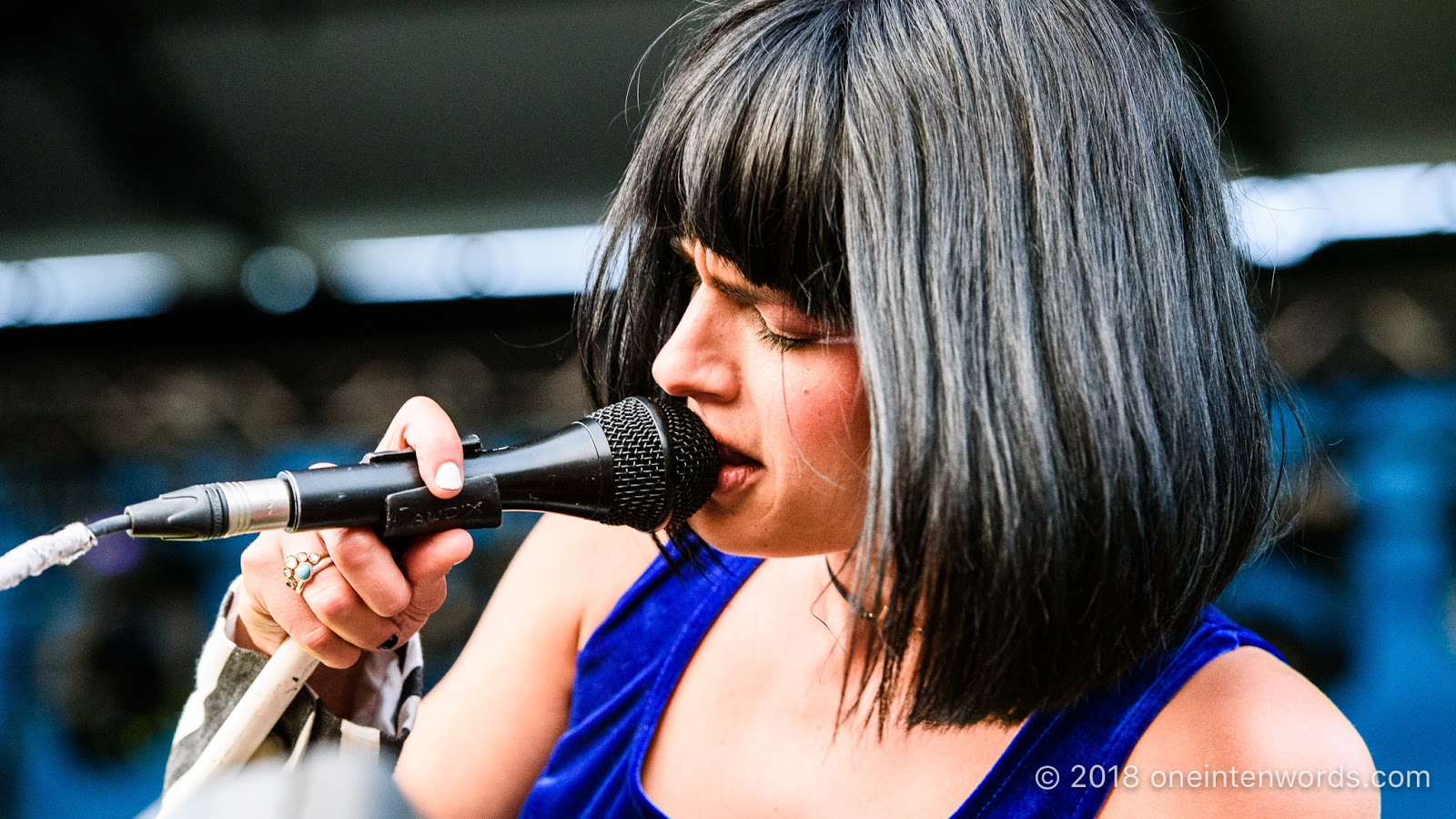 one in ten words: Riverfest Elora 2018: Day 3: Dear Rouge - Concert Photos