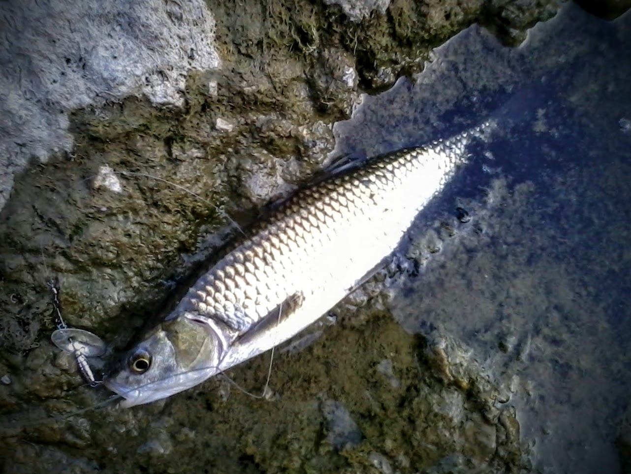 Eroi dello Spinning: Spinning al CAVEDANO - Un primo approccio alla tecnica