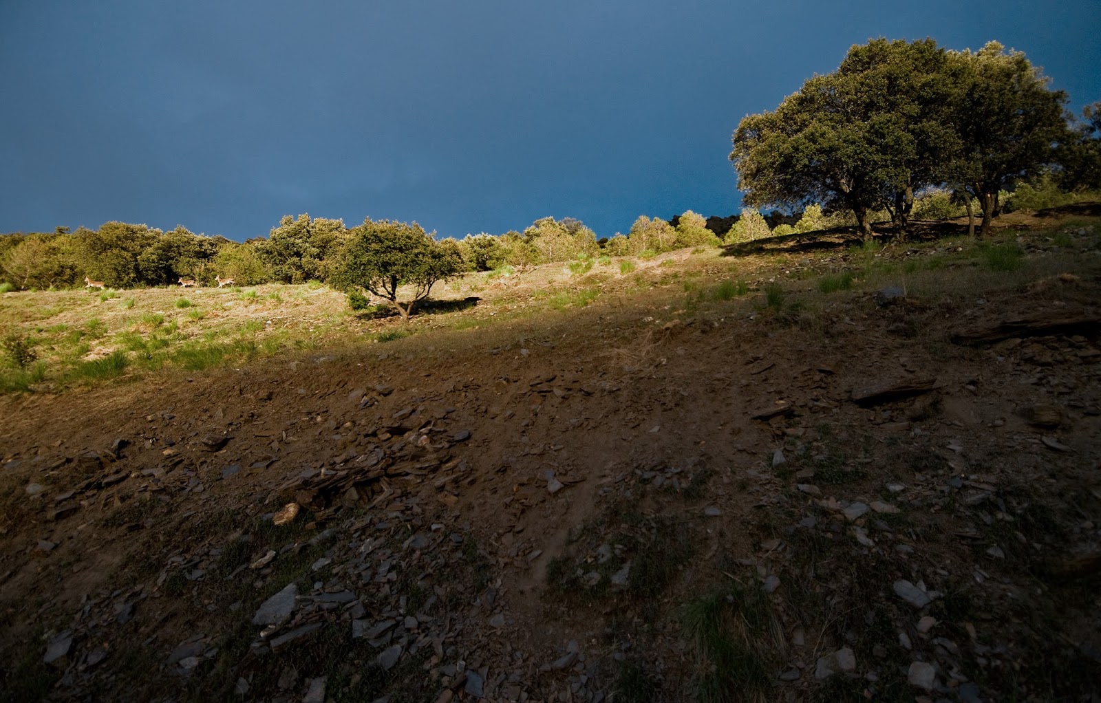 El Blog de Ignacio Henares: Donde nace el (río) Nacimiento