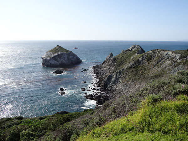 Reflections From the Fence: THE Trip, THE Encore' :: Riding the ...