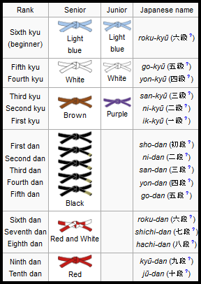 Martial Arts Revolution