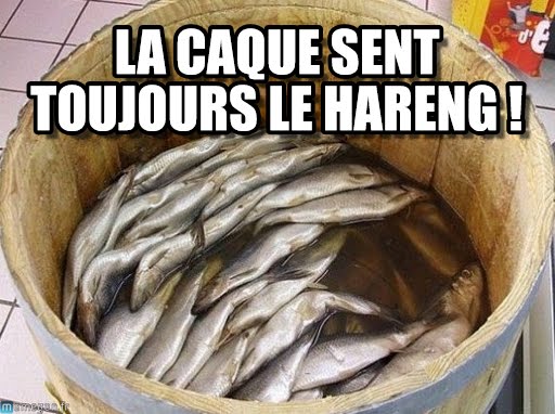 Comment ça se dit en français?: la caque sent toujours le hareng