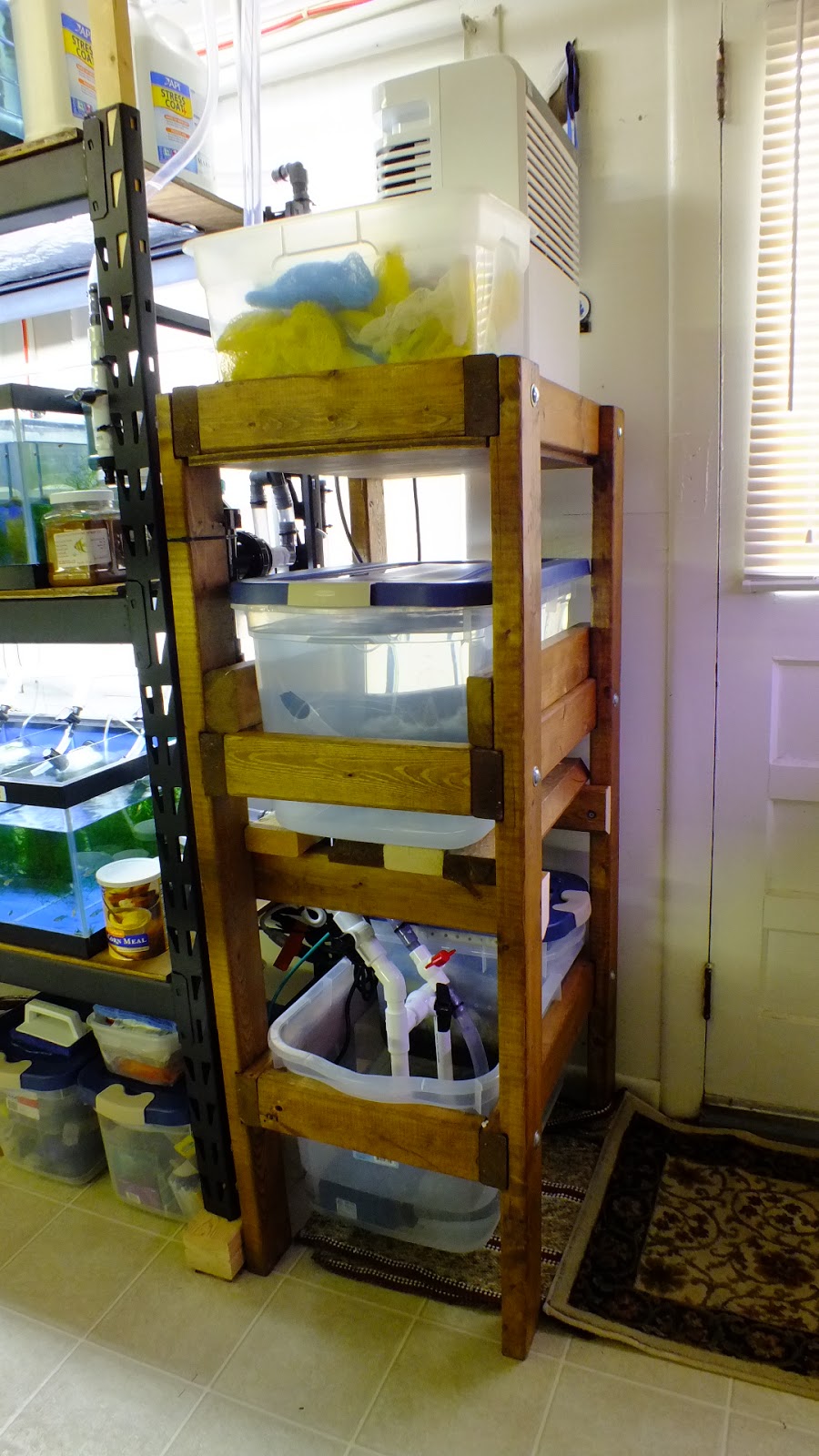 Swordtail Guppies: BREEDING RACK SYSTEMS; Automation for Water Change ...