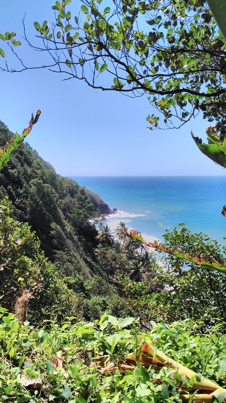 Martinique (jour 2) - Escapade à Grand’Rivière - 1 année, 1 voyage ...