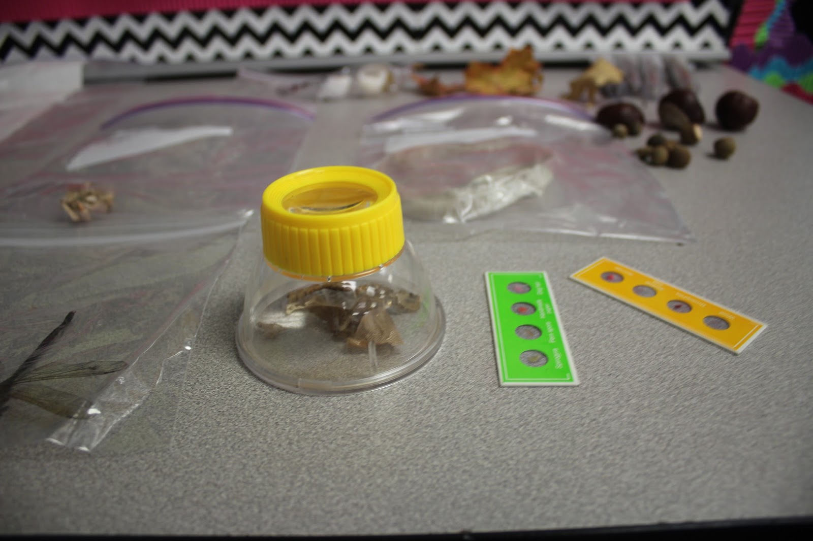 The Go To Teacher: Wonder Table