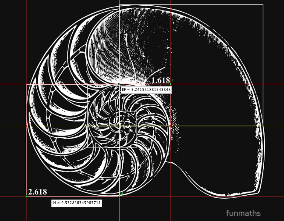 Chris Impens @ Valvas: Debunking golden ratio shells (2)