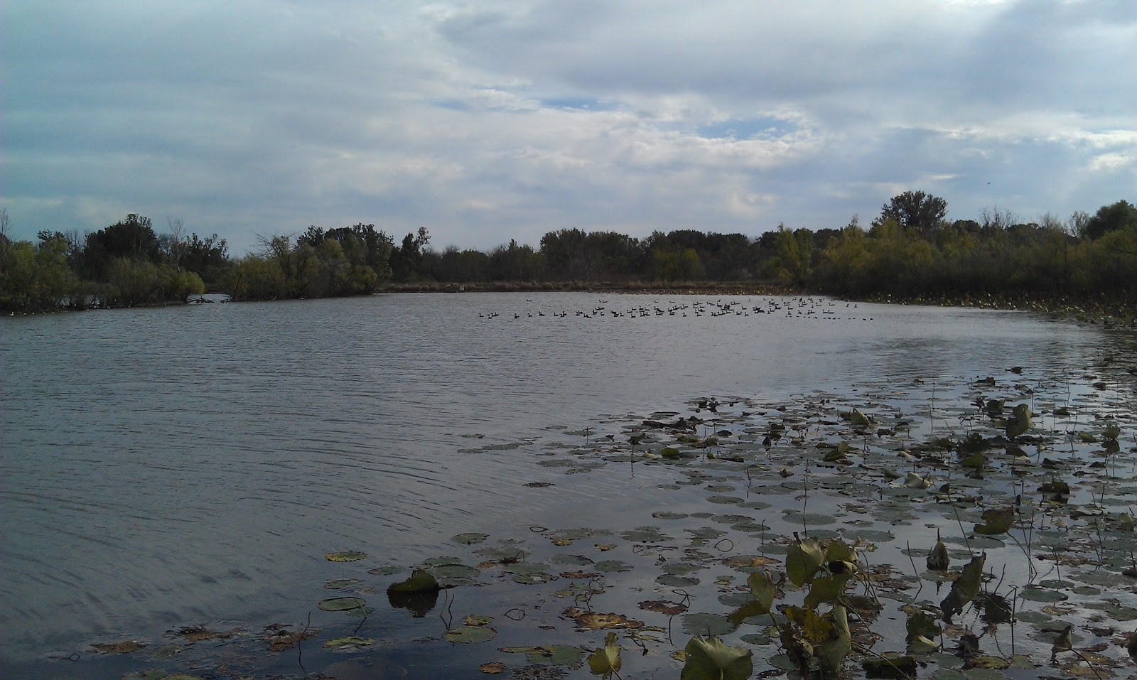 Colburn Park in Loami, IL