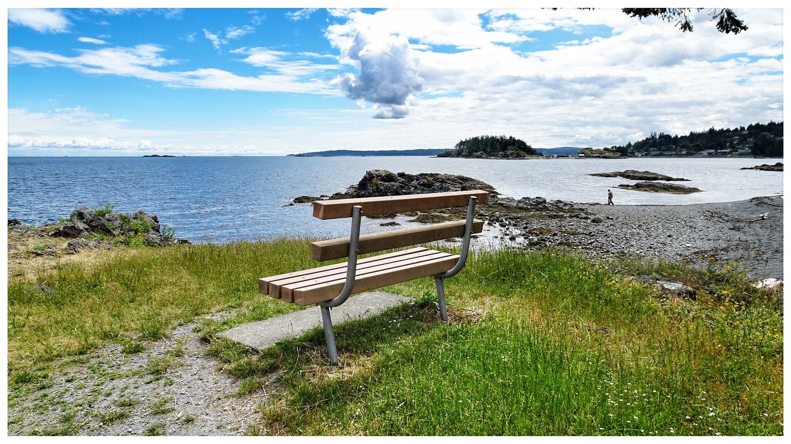 20+ Parks in Nanaimo: Neck Point Park