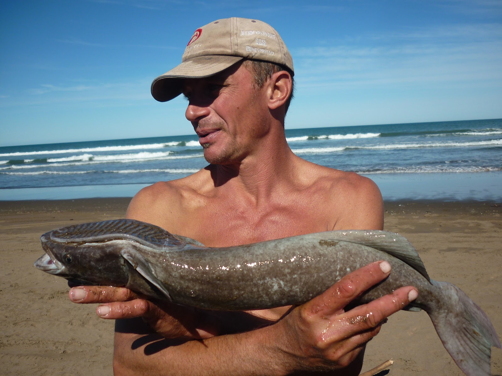 Pasión por la pesca: UNA RÉMORA EN CLAROMECO