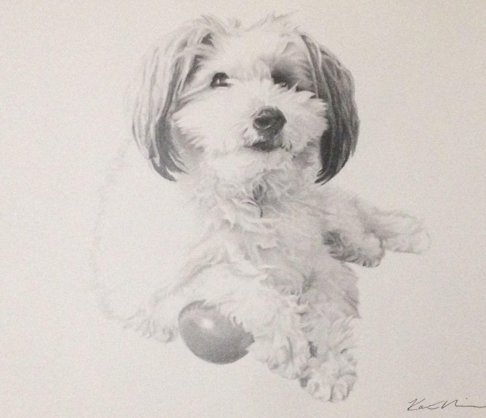 Art by Katie Nielsen: Pencil Drawing - Dog with Ball
