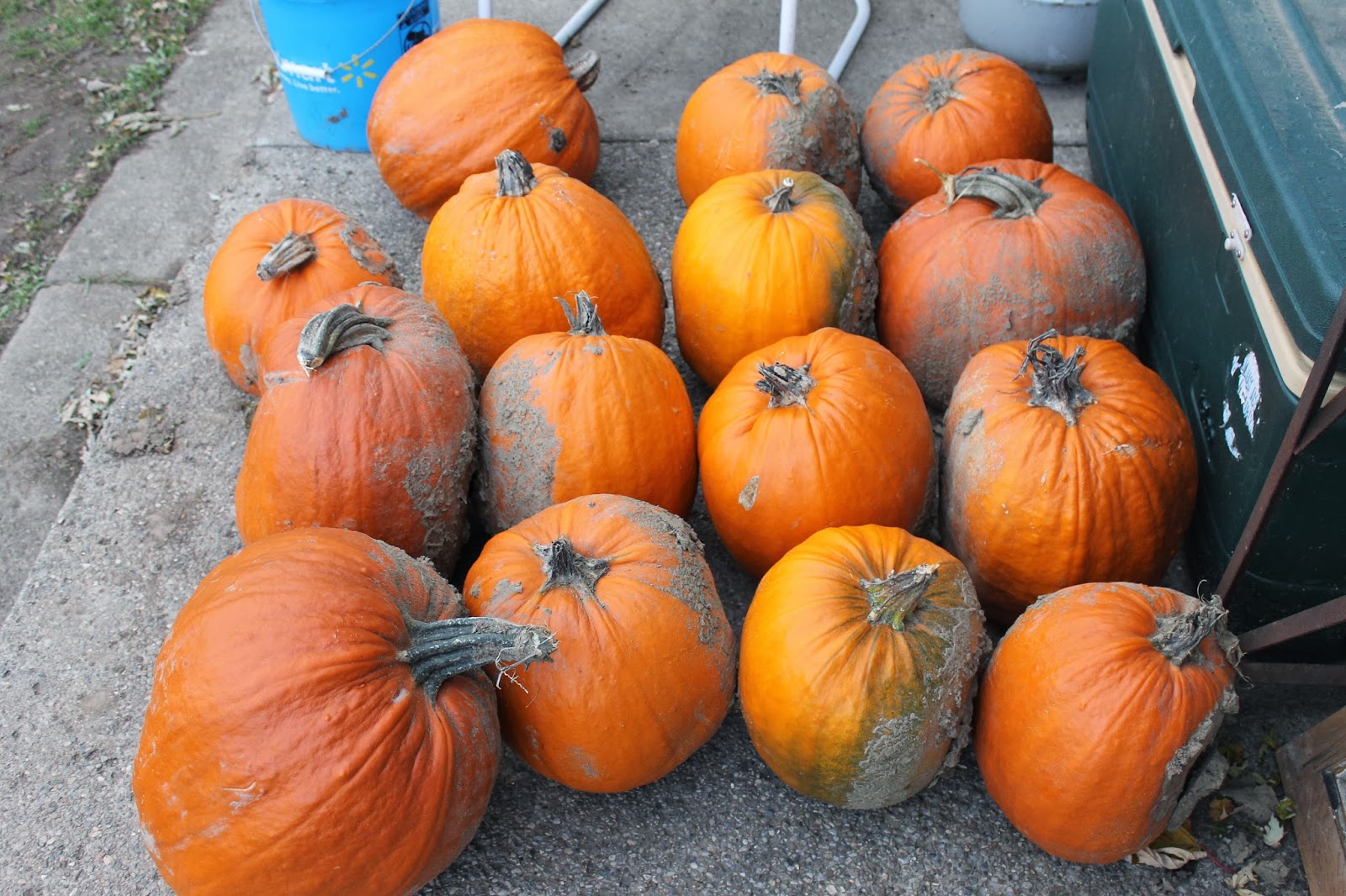 Storybook Farms (large family living): Pumpkin Time - making homemade ...