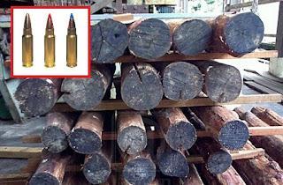 alamcyber 2020: Malaysia Cipta Peluru Senjata Api Dari Kayu Bakau?