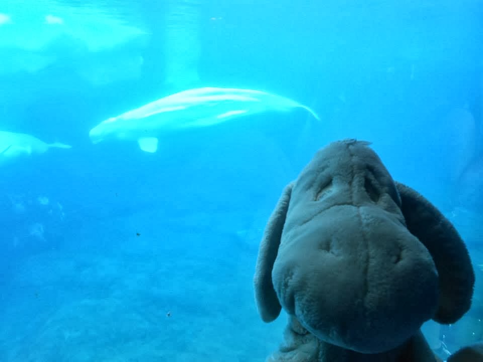 Magically Melissa: The Many Adventures of Eeyore