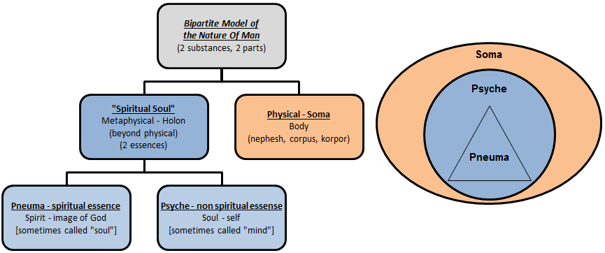 Homebrewed Theology: Anthropology 3 - Man's Tripartite or Bipartite Nature