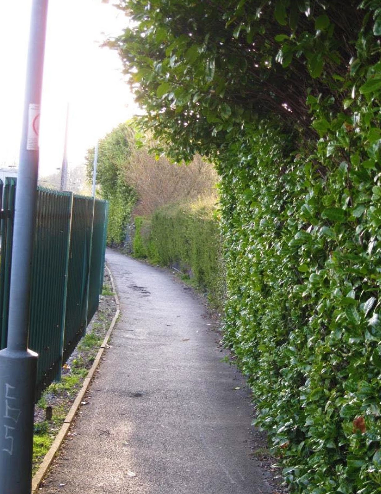 COUNCILLOR PETER MADELEY