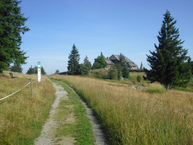 Der Schwarzwald und seine Natur: Kandel, der höchste Berg des Mittleren ...