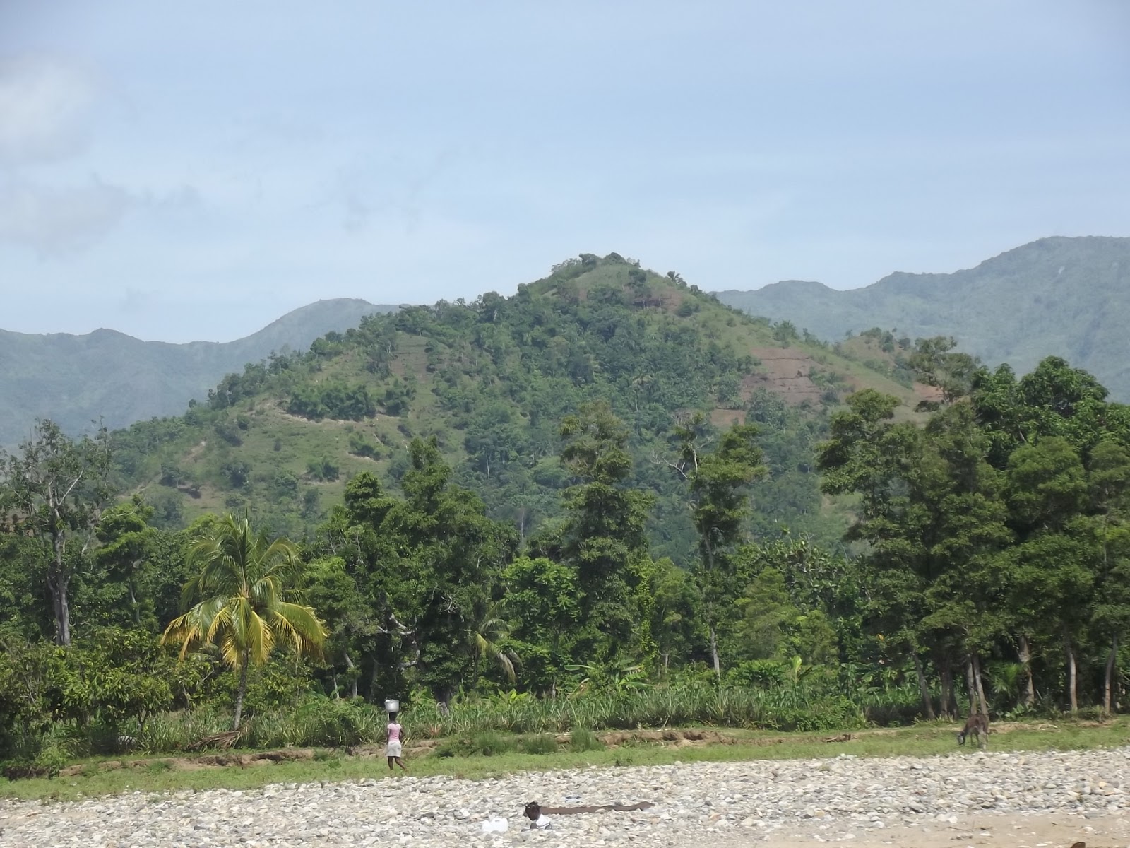 Thede Connection- HAITI/Zambia: Trip to Port Margot: health clinic ...