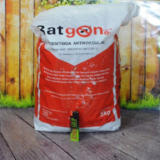 Umpan Racun Tikus Ratgone 0.005BB 5Kg | JESSKA SHOP