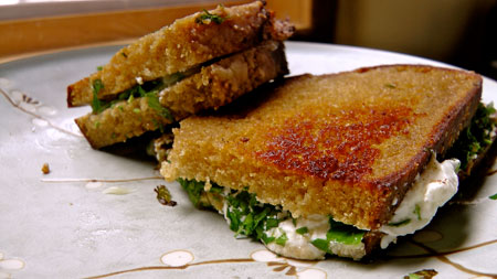 Nourishing Herbs: Chickweed: The Little Star of Spring with Nourishing ...