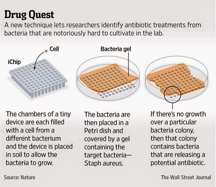 Phage therapy subjects from Sellano town : Teixobactin